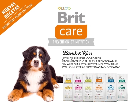 Las ventas de alimentos para perros y gatos - Brit