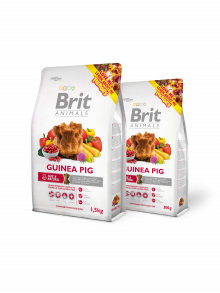 Rodents – Brit Animals – Brit