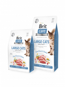 Cats – Brit